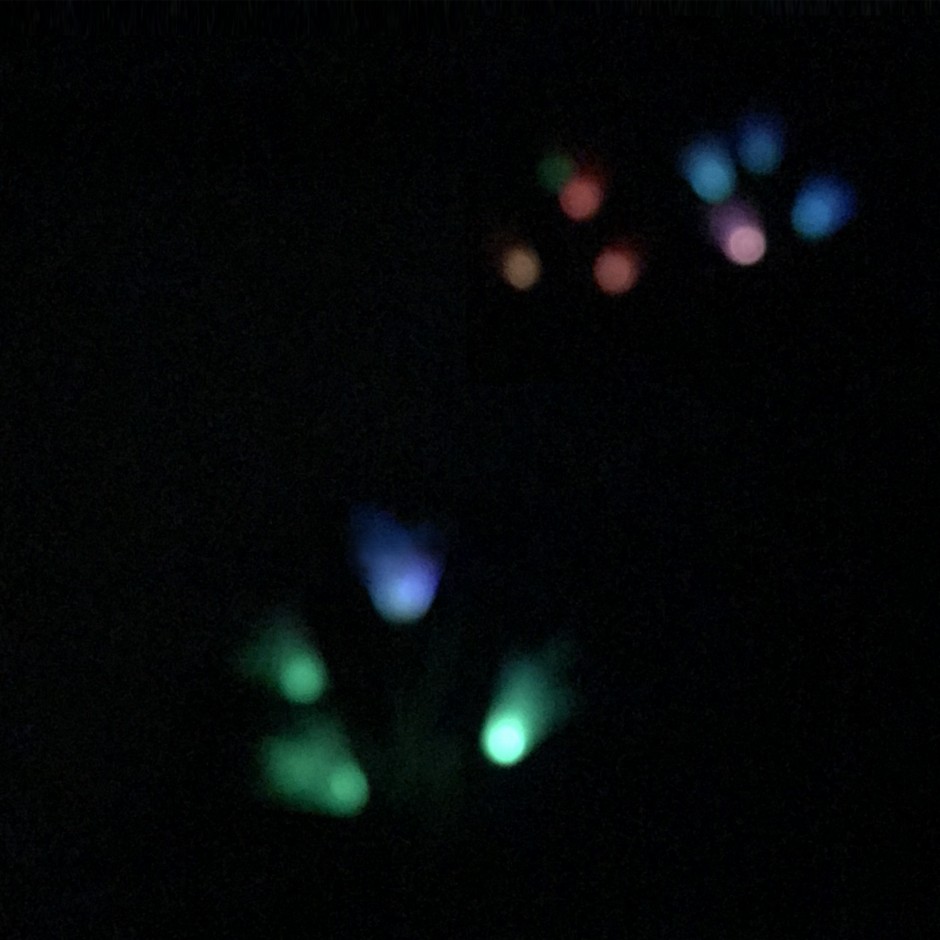 Alex Lilly | A man A plan A canal